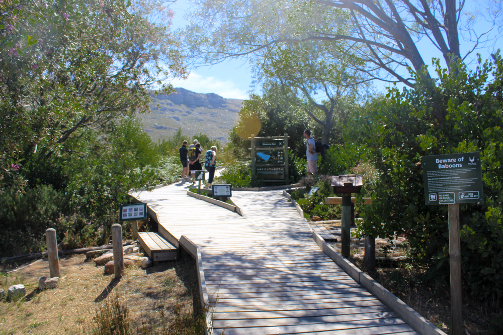 Elephant’s Eye Cave in Silvermine: awesome hiking in Cape Town, South ...