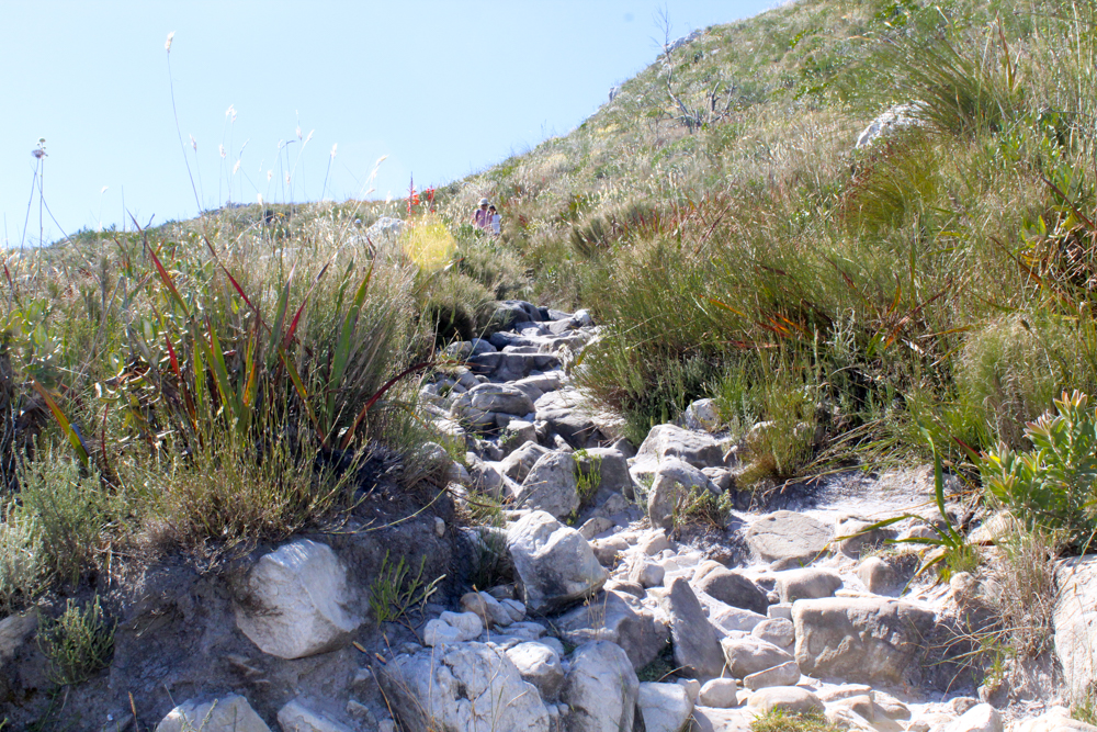 Elephant’s Eye Cave in Silvermine: awesome hiking in Cape Town, South ...
