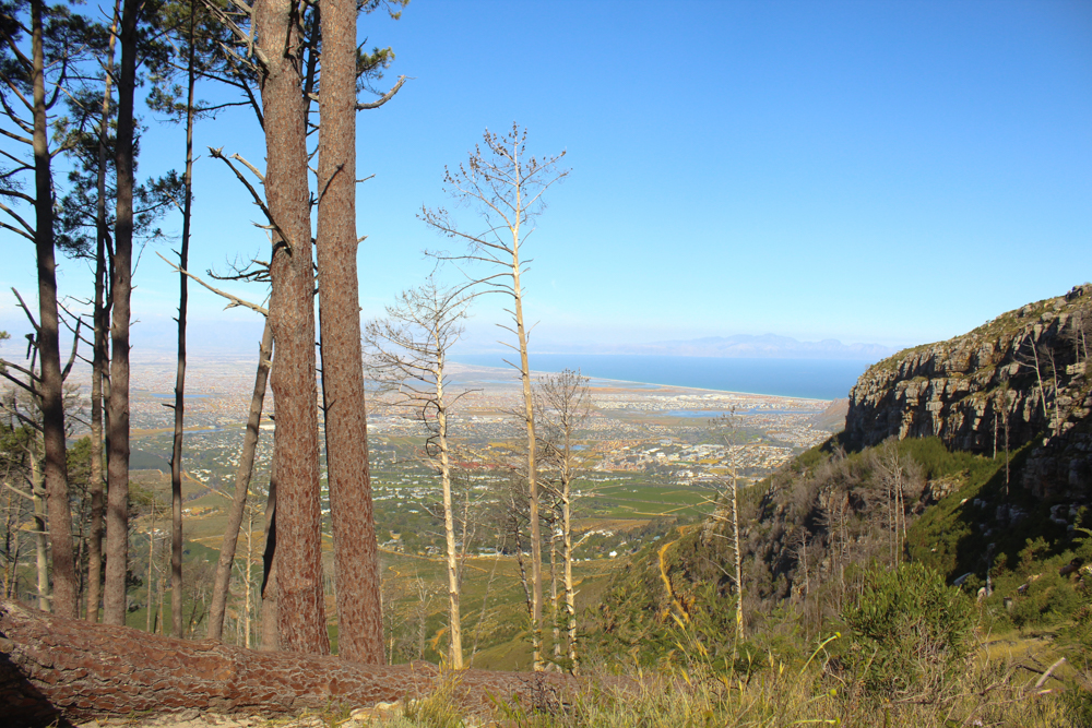 Elephant’s Eye Cave in Silvermine: awesome hiking in Cape Town, South ...