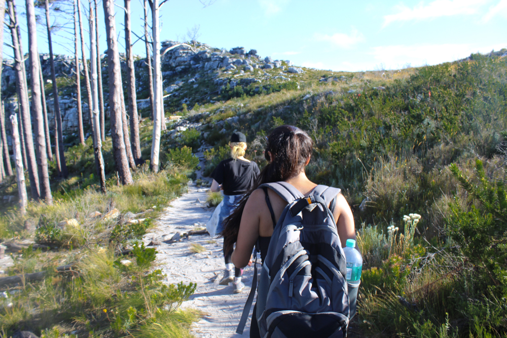 Elephant’s Eye Cave in Silvermine: awesome hiking in Cape Town, South ...
