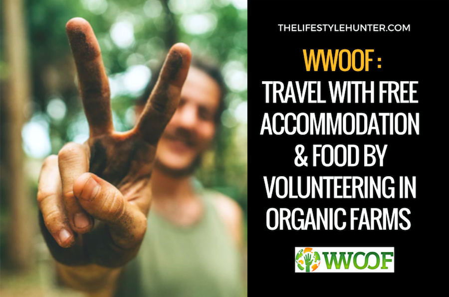 WWOOF: travel with free accommodation and food by volunteering on ...